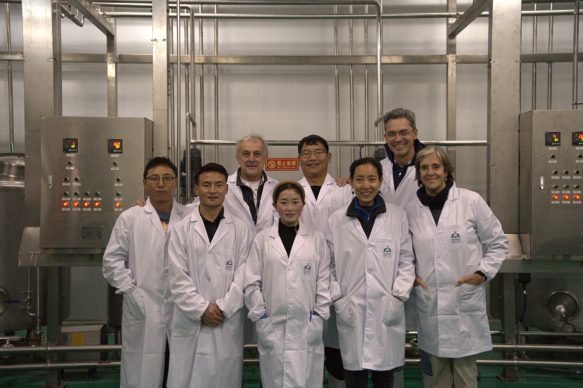 Kangri Metok | mYak Tibetan Fibers